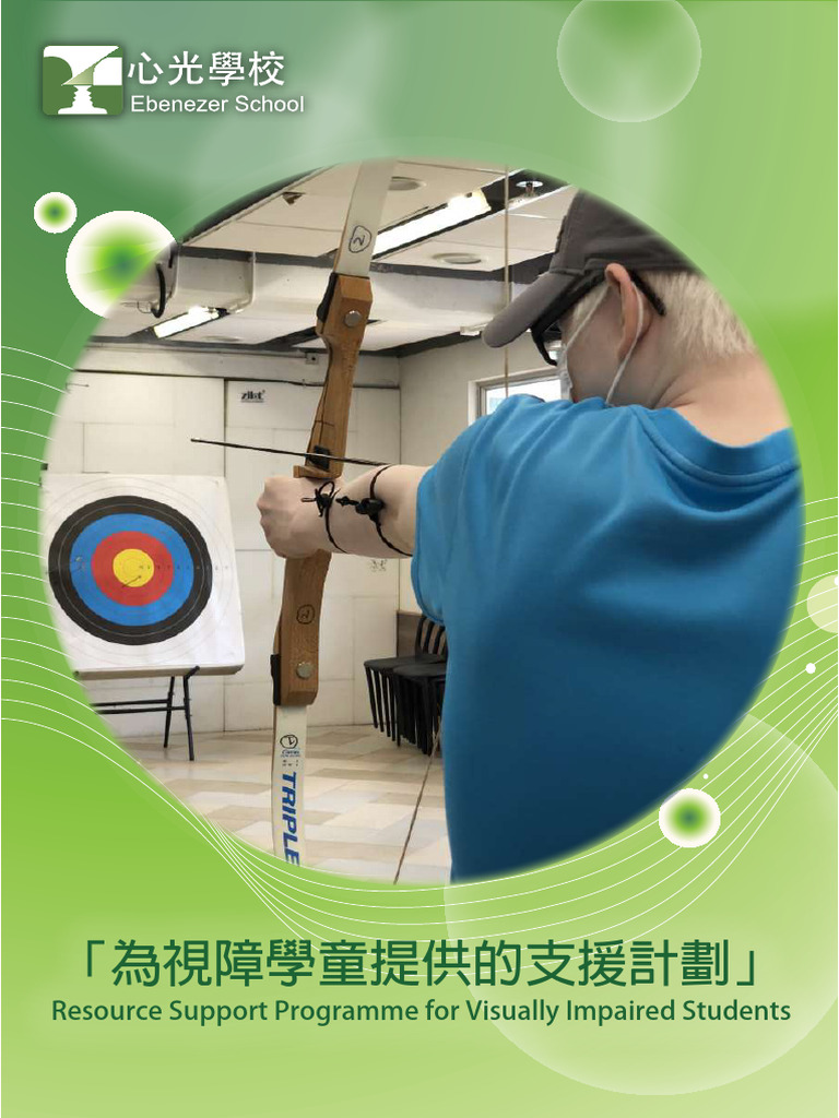 RSP Introduction - Compressed | PDF