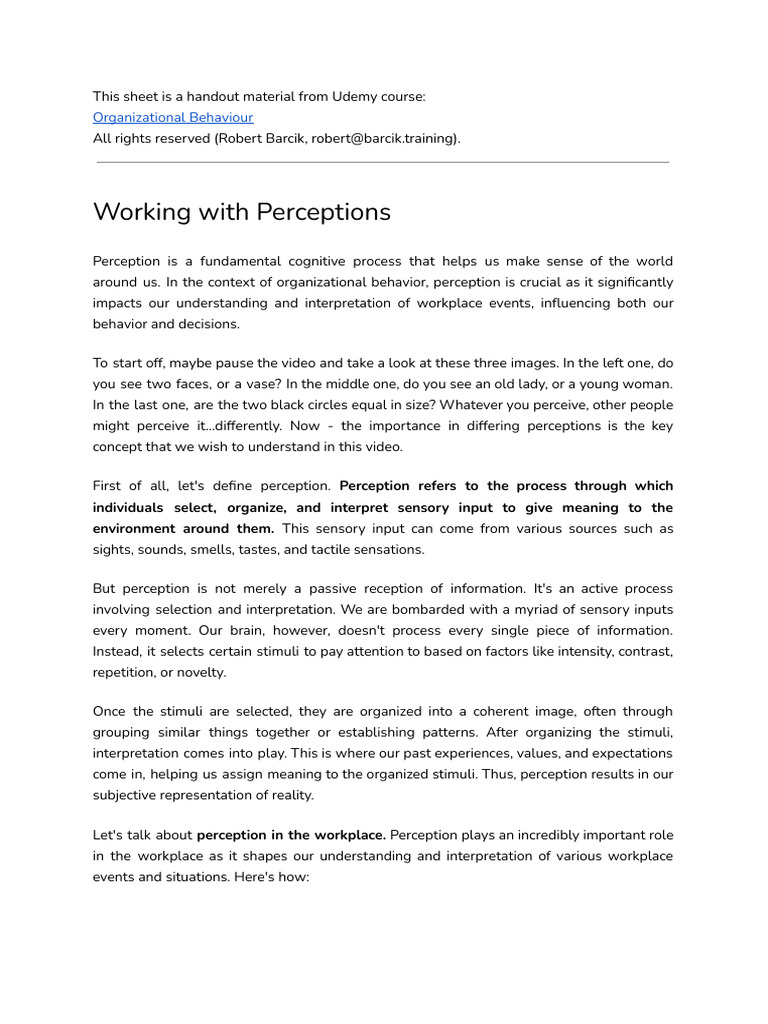 Working+with+Perceptions | PDF | Perception | Organizational Culture