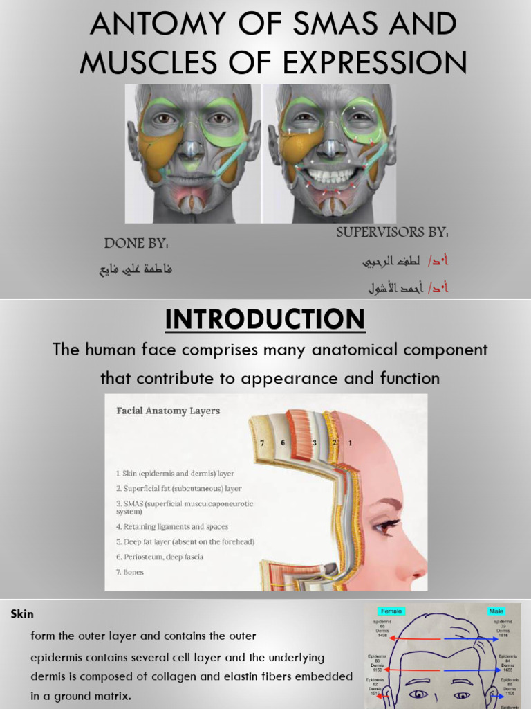Smas and Muscles of Expression | PDF | Human Nose | Face