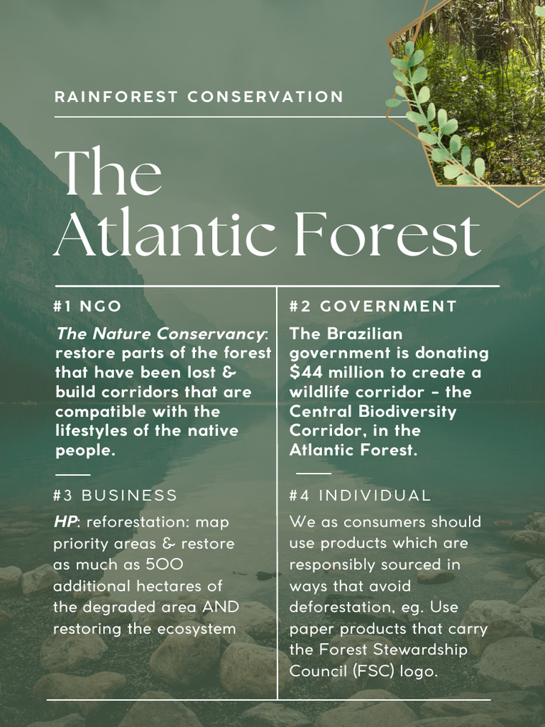 Geog Rainforest Conservation Poster | PDF