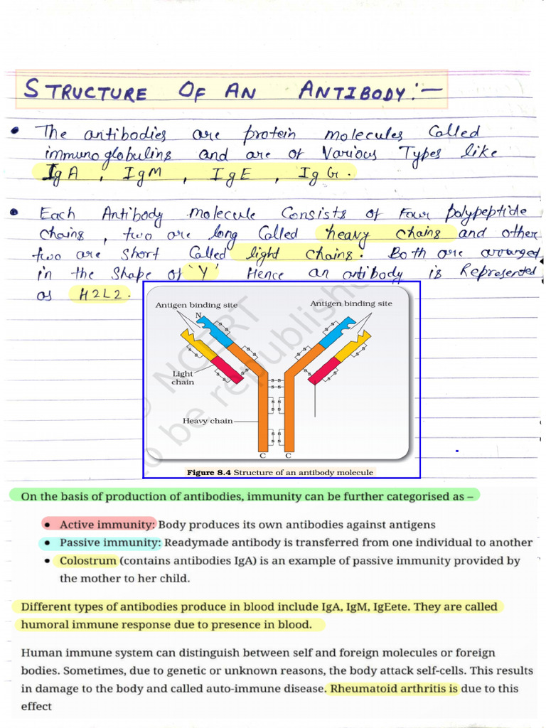 Class 12 Biology Chapter 8 Notes | PDF
