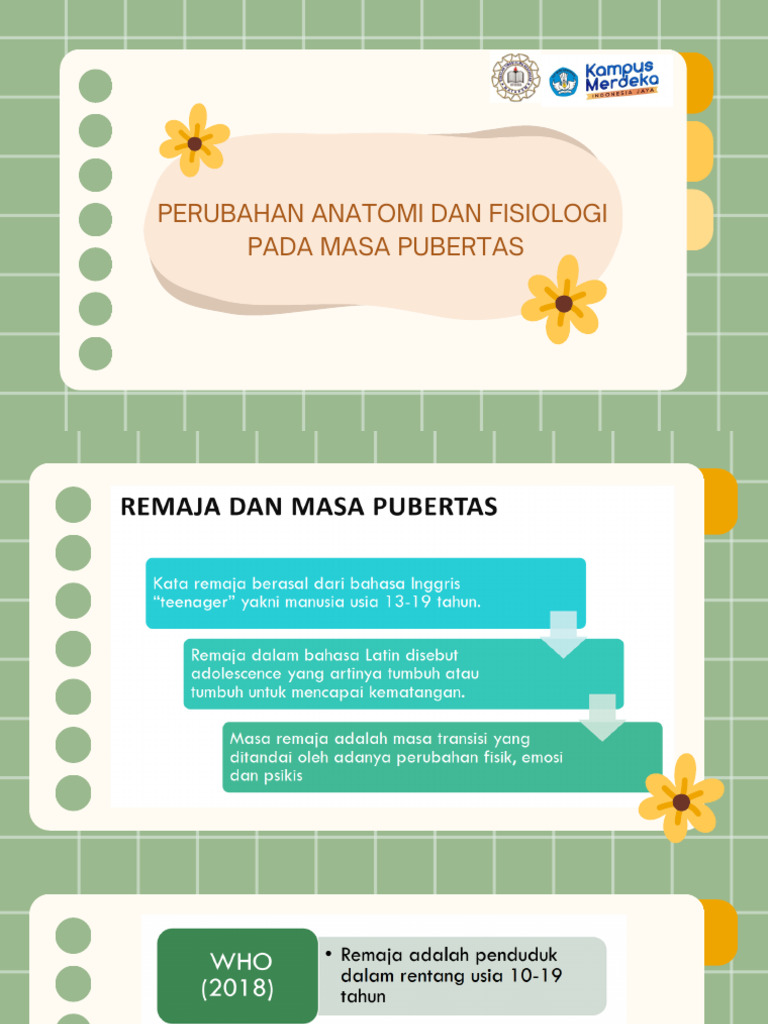 ANATOMI FISIOLOGI PUBERTAS | PDF