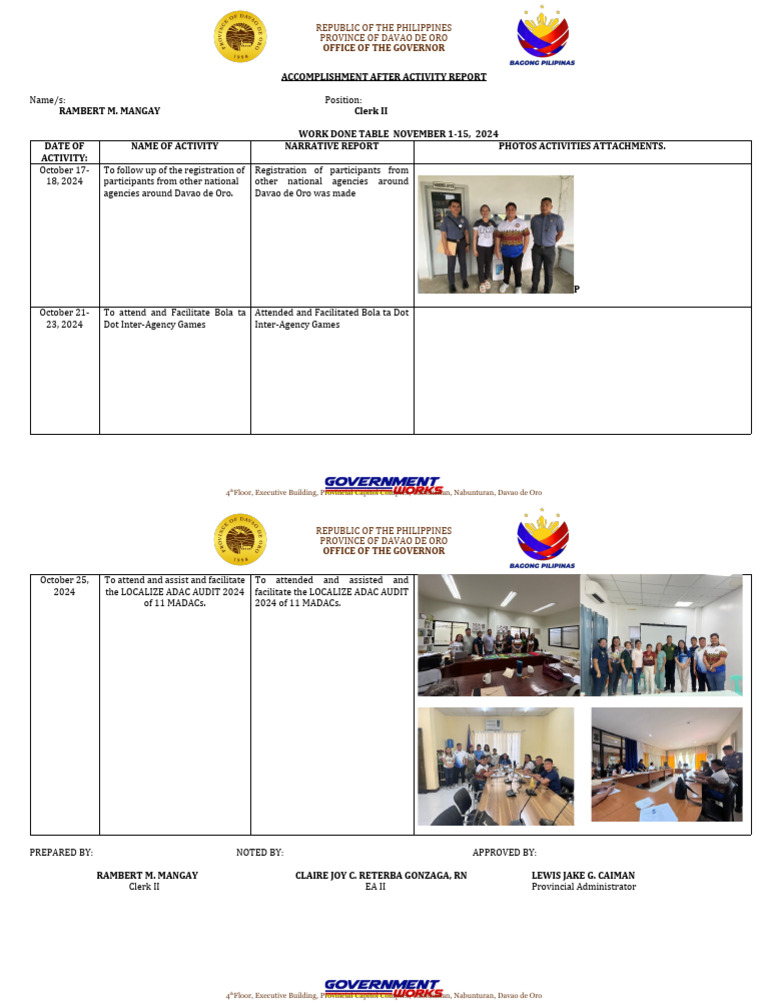 Activity Accomplishment Report Prof | PDF