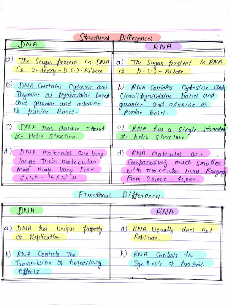 Molecular Basis of Inheritance Class 12th Biology | PDF