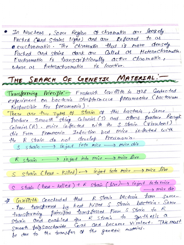 Molecular basis of inheritance class 12th Biology (4) | PDF