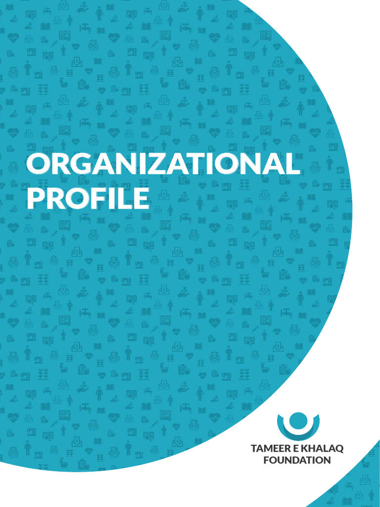 Organizational Profile - TKF-3 | PDF | Economies