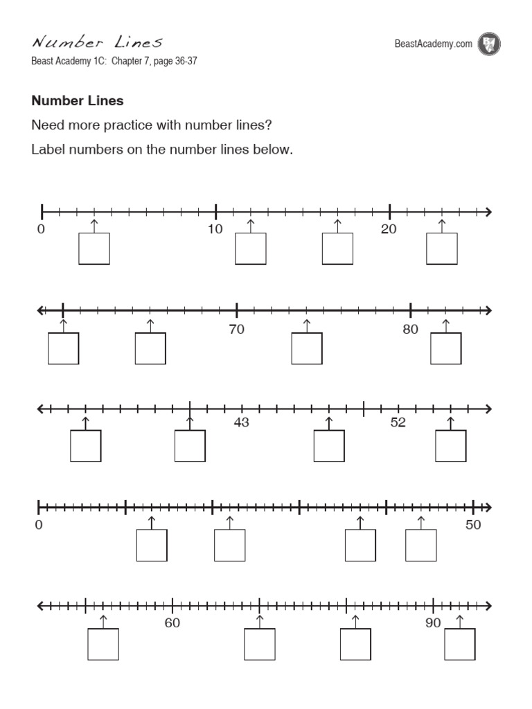 Number Lines | PDF