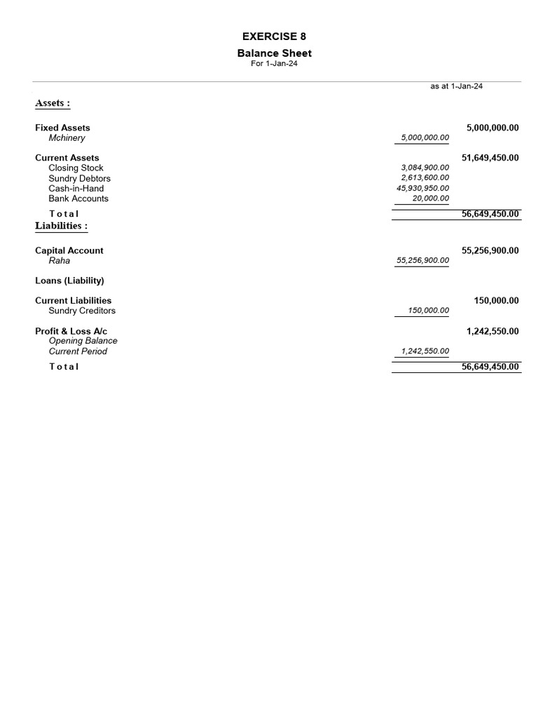 Exercise 8-Balance Sheet | PDF