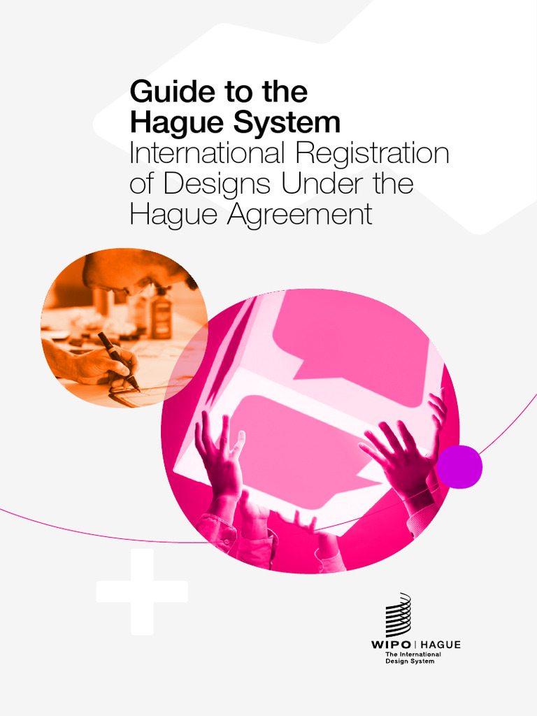 Hague System Guide | PDF | Justice | Crime & Violence