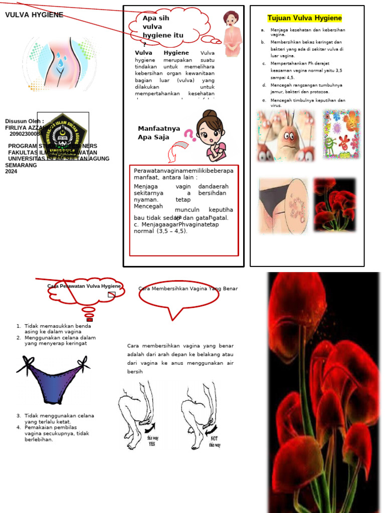 Leaflet Vulva Hygiene | PDF