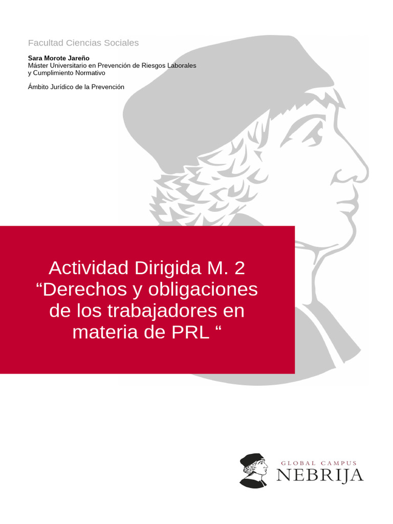 Actividad Dirigida Módulo 2 | PDF