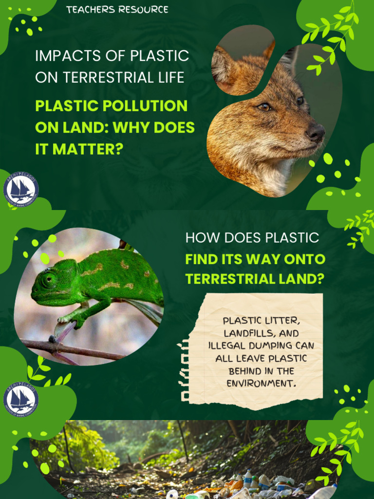 Effects of Plastic Pollution on Land | PDF | Waste | Plastic