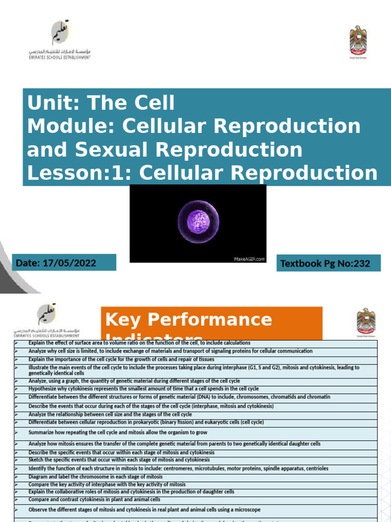 Understanding Cellular Reproduction | PDF | Mitosis | Cell Cycle
