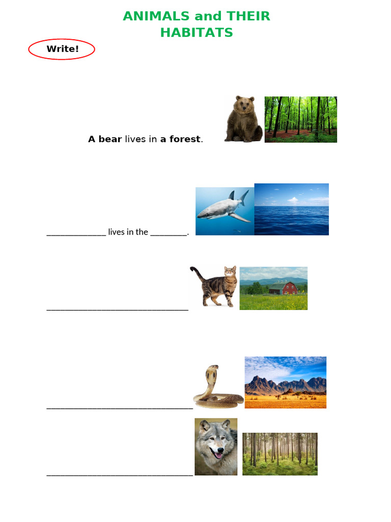 Animals and Their Habitats Reading Comprehension Exercises - 110209 | PDF
