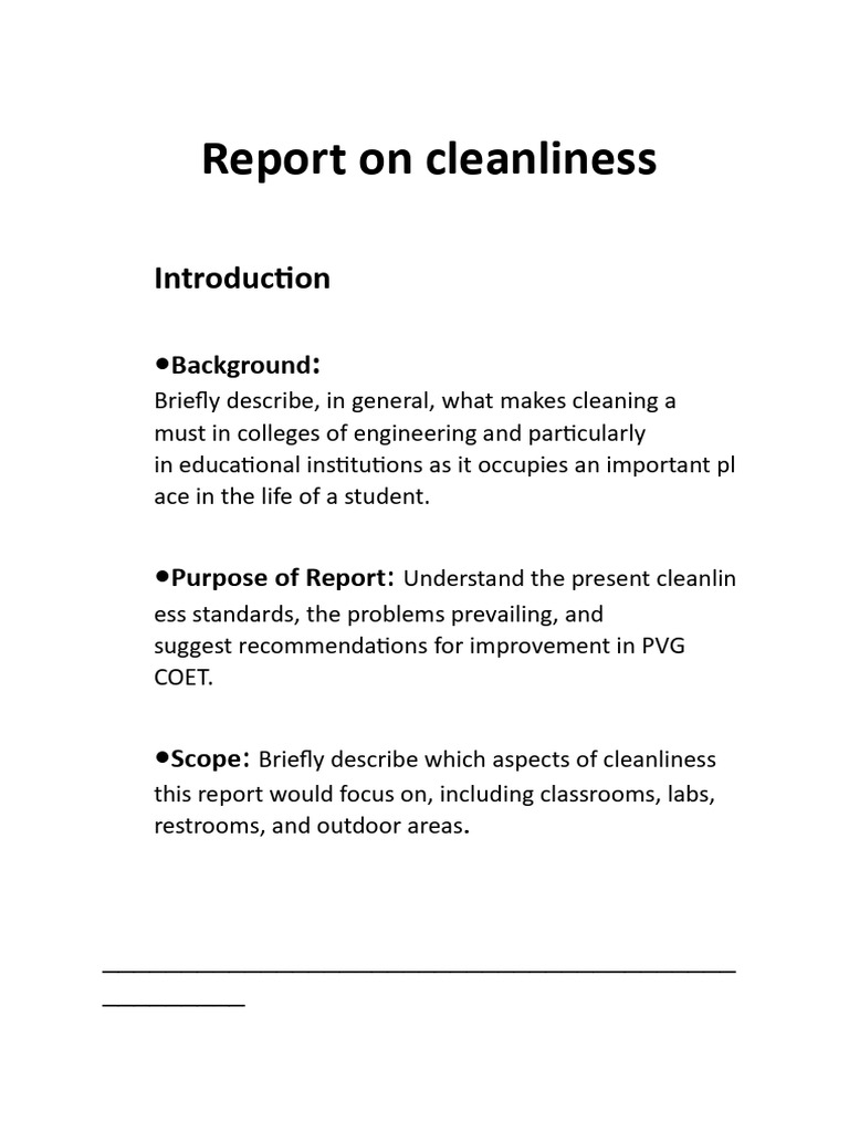 Report on cleanliness | PDF | Recycling | Waste