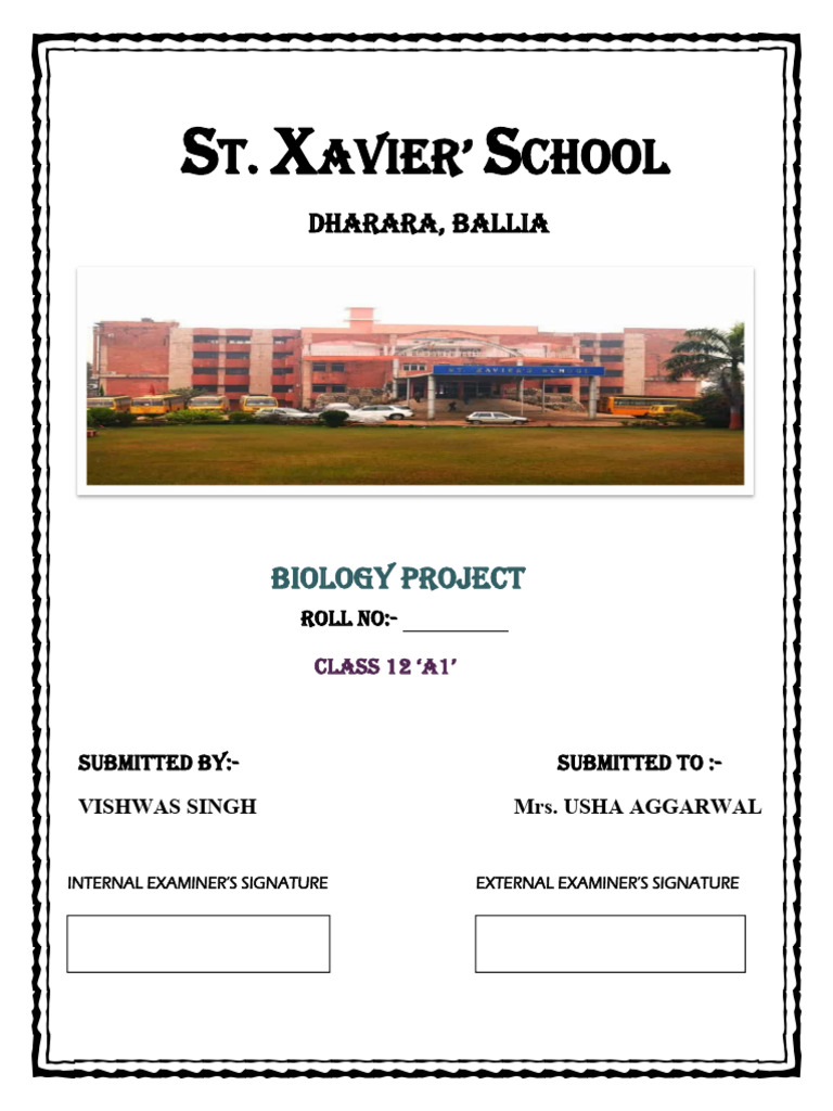 T. Avier' Chool: Dharara, Ballia | PDF