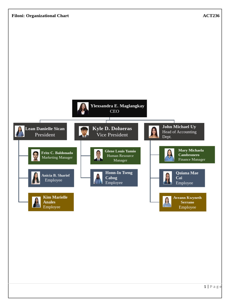 Assignment 1 2 - MS WORD CHARTS - ACT236 | PDF | Business