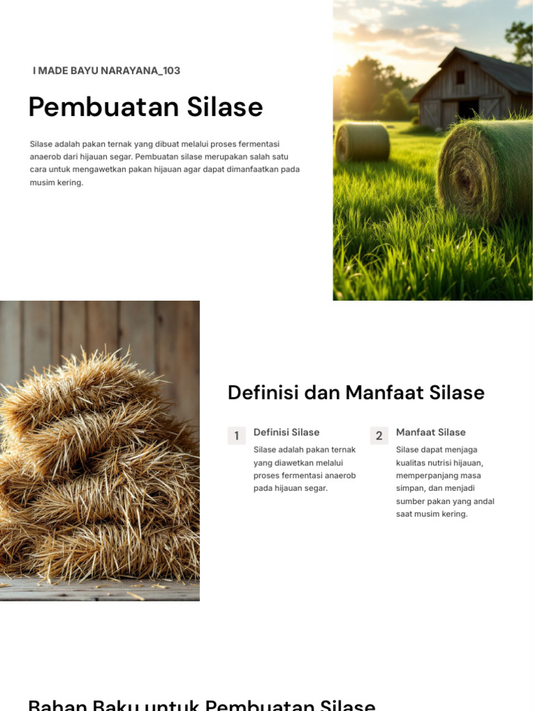 Pembuatan Silase | PDF
