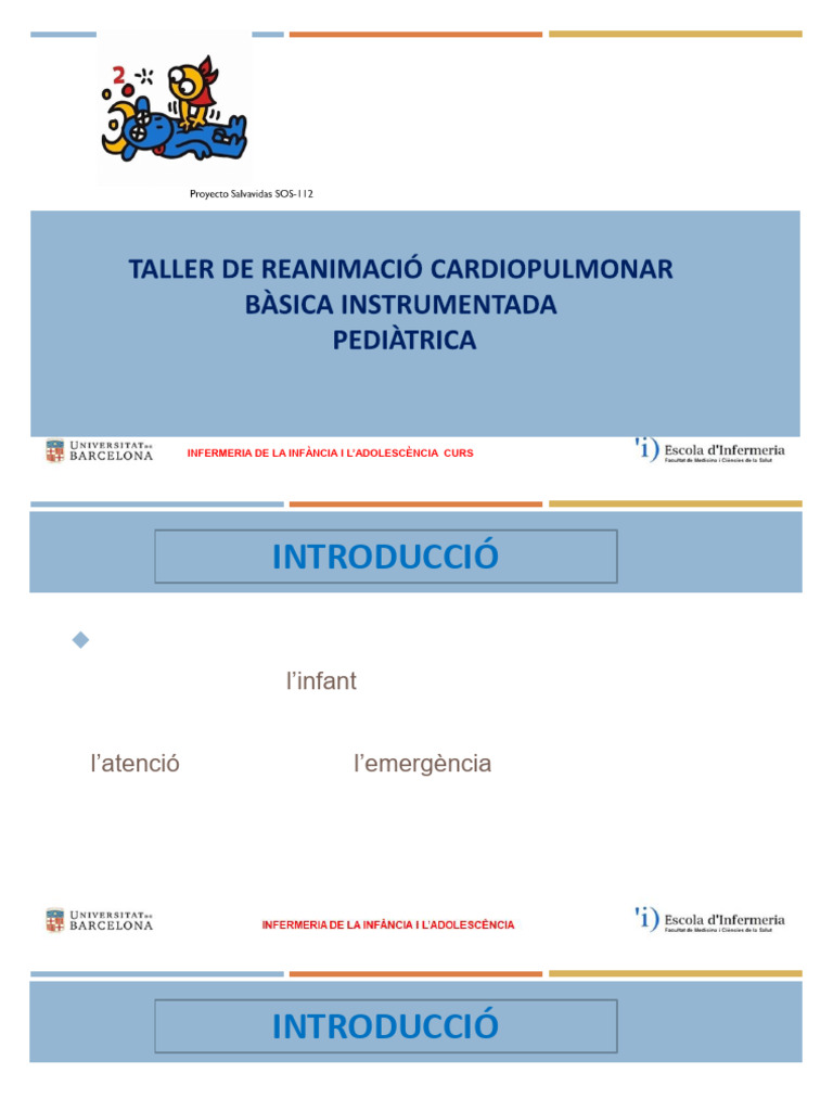 Taller RCP 2023-2024 | PDF