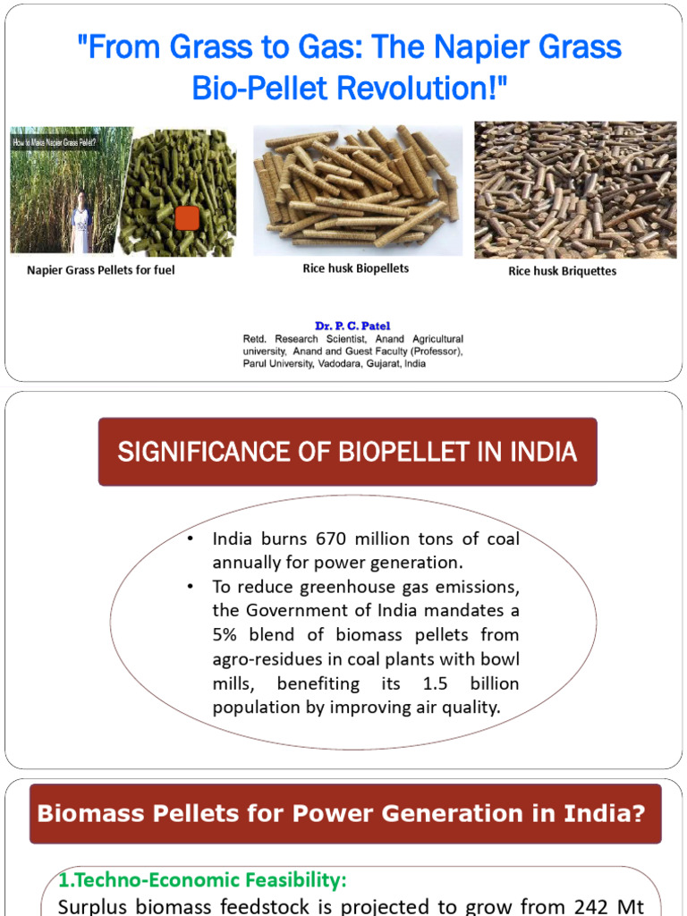 From Grass To Gas-The Napier Grass Bio-Pellet Revolution | PDF ...