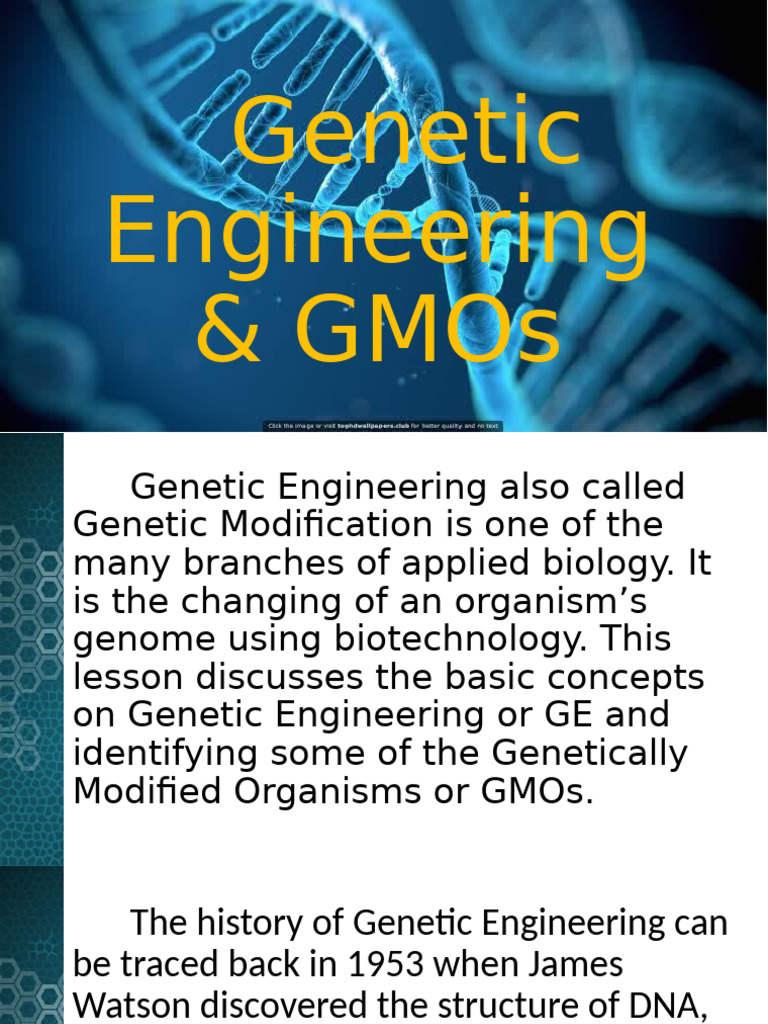 Q2 M3 Genetic Engineering GMOs | PDF | Dna | Genetic Engineering