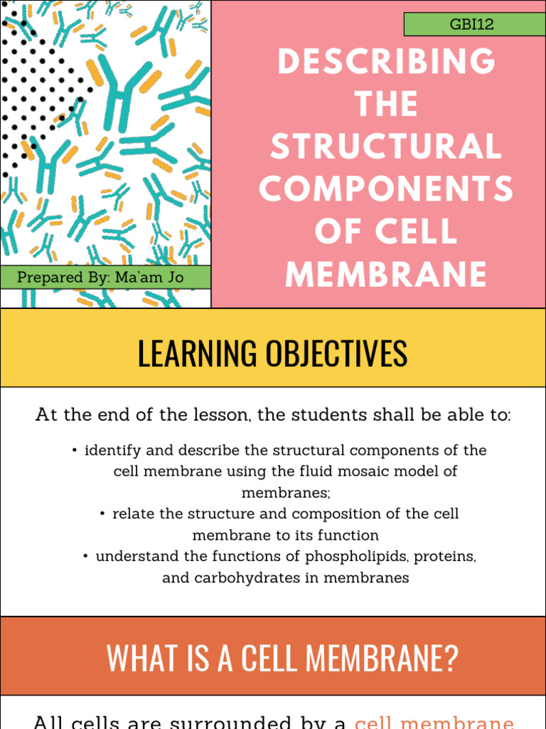 Structural Components of Cell Membrane | PDF | Cell Membrane | Cell ...