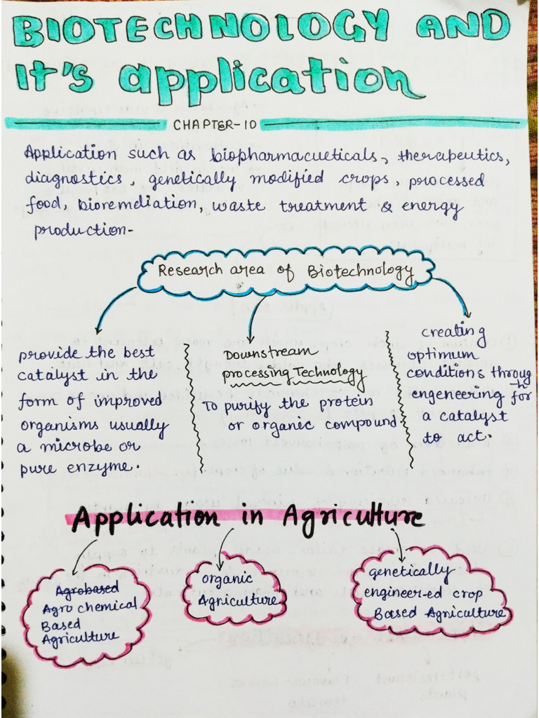 BIOTECH APPLICATION (Himanshu 2024-25) | PDF