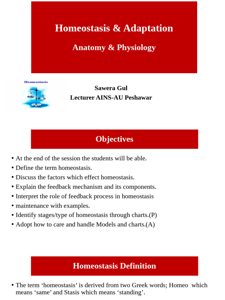 Lecture 2 Homeostasis & Adaptation A&p | PDF | Homeostasis | Vasodilation