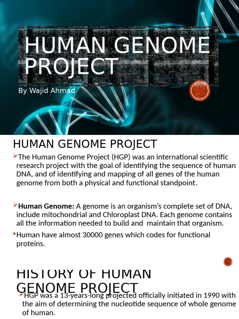 Human Genome Project | PDF | Human Genome | Genome