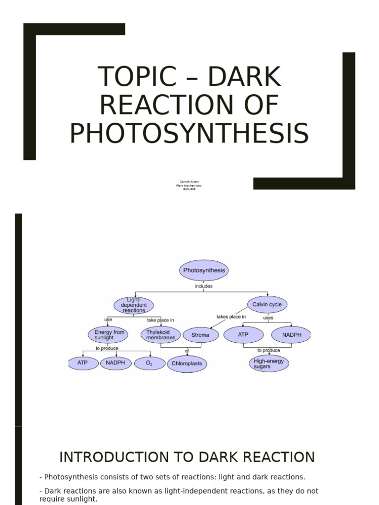 Dark Reactions of Photosynthesis Explained | PDF | Chemistry ...