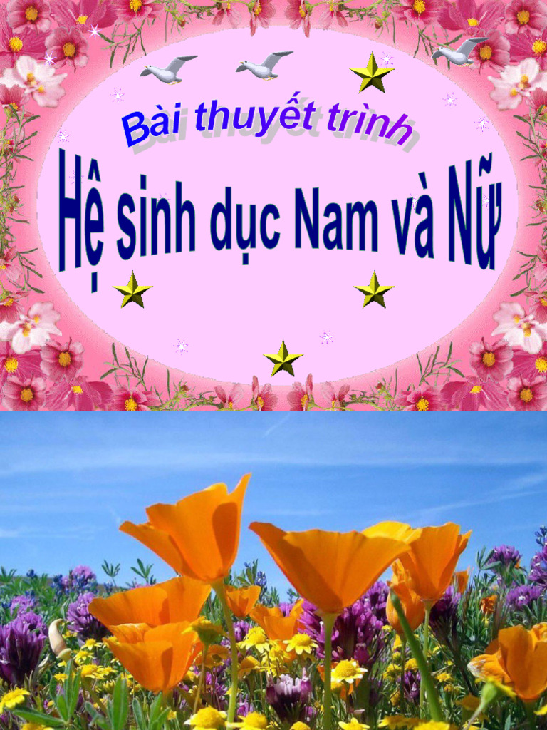 [123doc] Tieu Luan He Sinh Duc Nam Nu | PDF