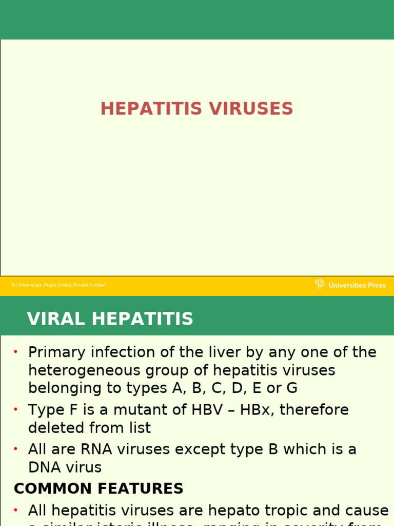 Part IV - Chapter 58 - Hepatitis Viruses-1 - Ed | PDF | Hepatitis B ...