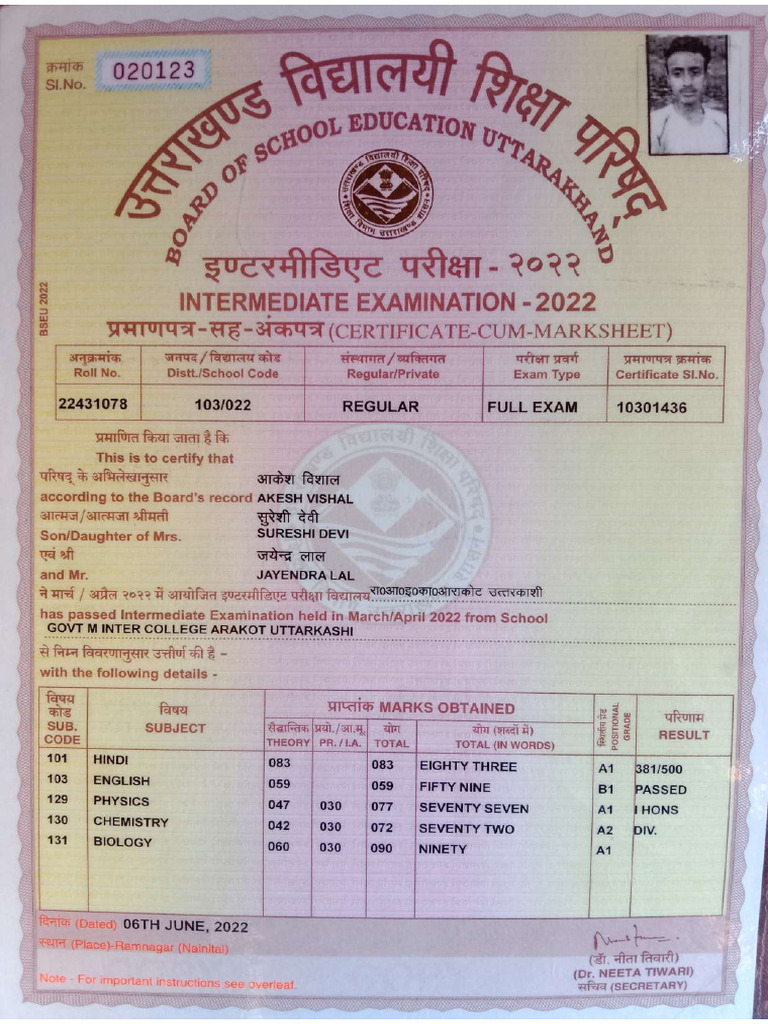 Marksheet 12 Akki | PDF