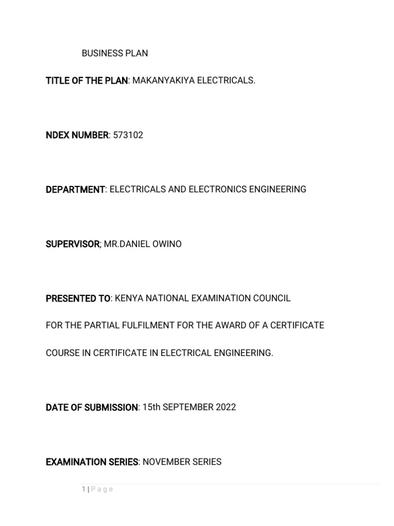 Elly Nyakiya's BS Plan Final | PDF | Income Statement | Business