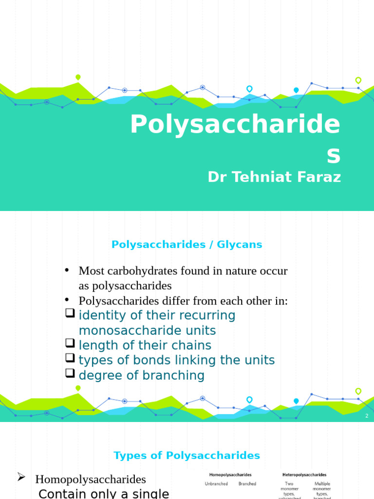 Polysaccharides | PDF | Polysaccharide | Glycogen