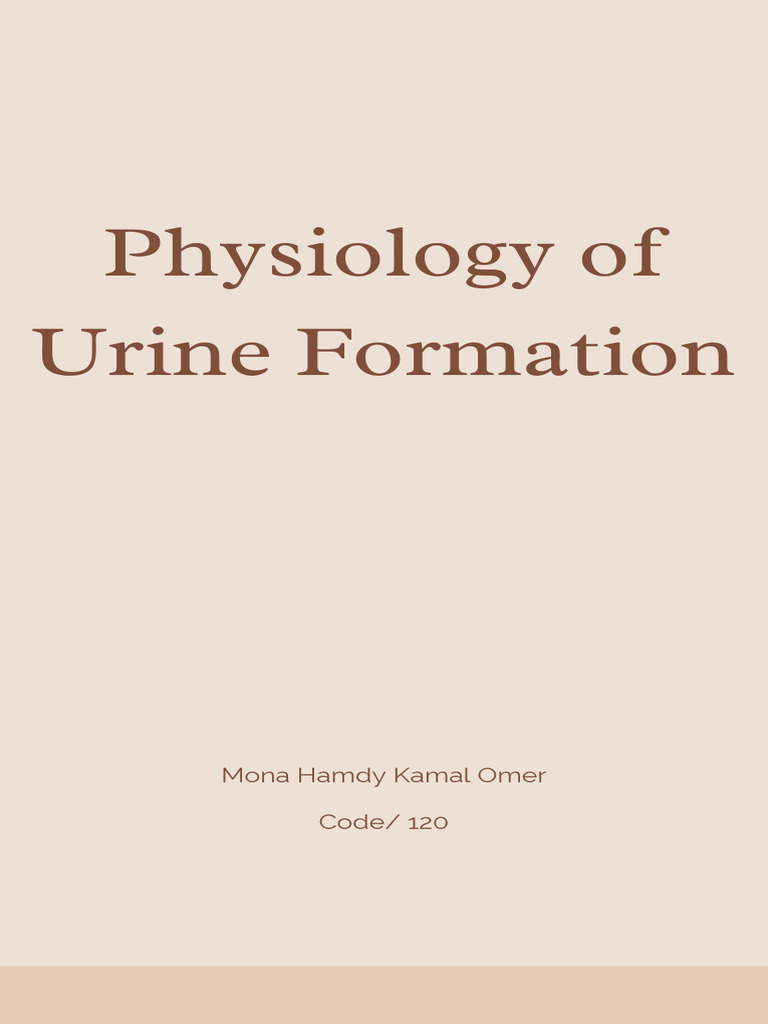 Physiology of Urine Function | PDF | Kidney | Urinary System