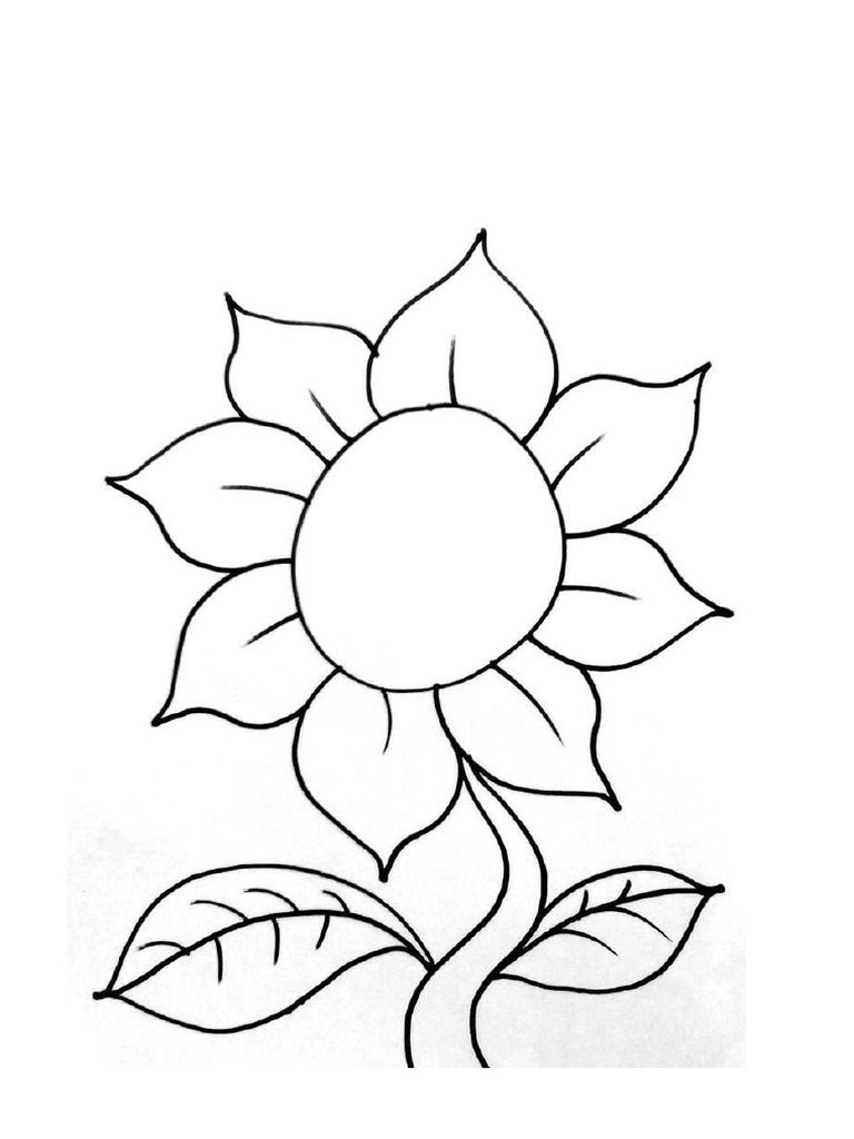 Sketsa Bunga Matahari | PDF