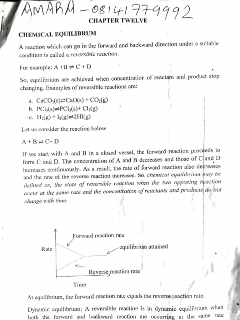 Chemical Equilibrium Handout | PDF