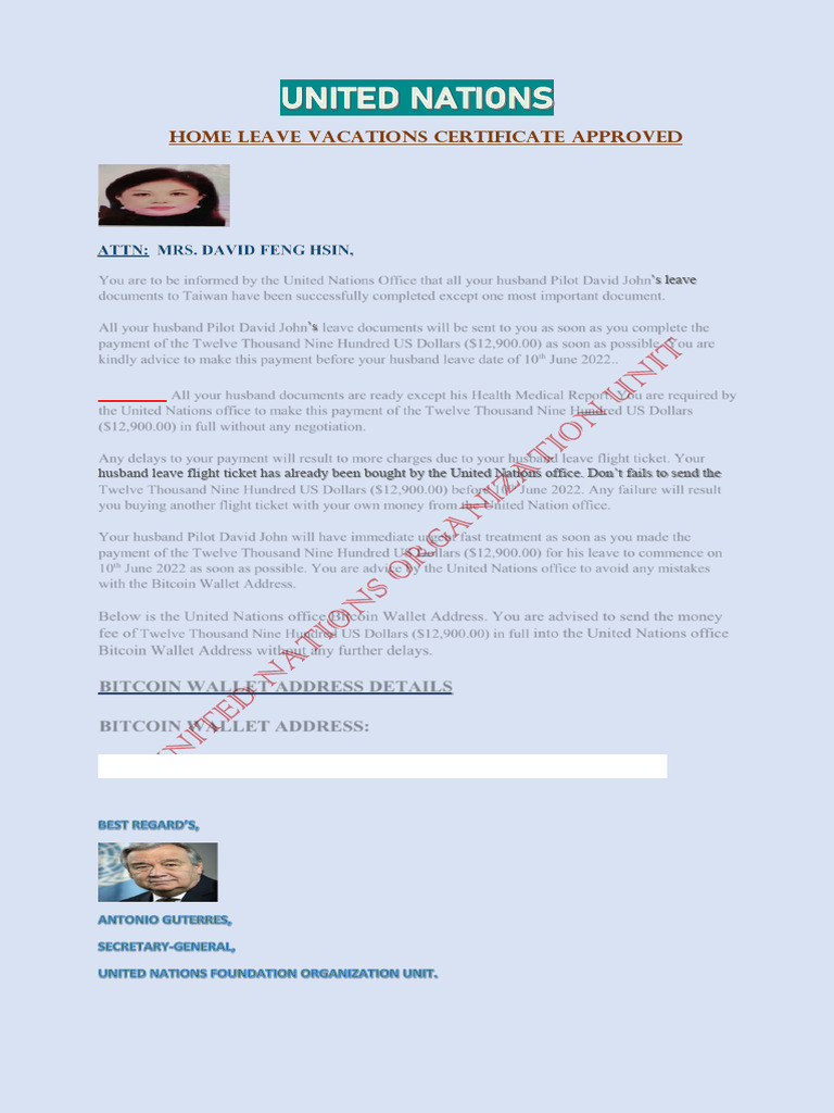 David Feng Hsin United Nations Final Payment | PDF