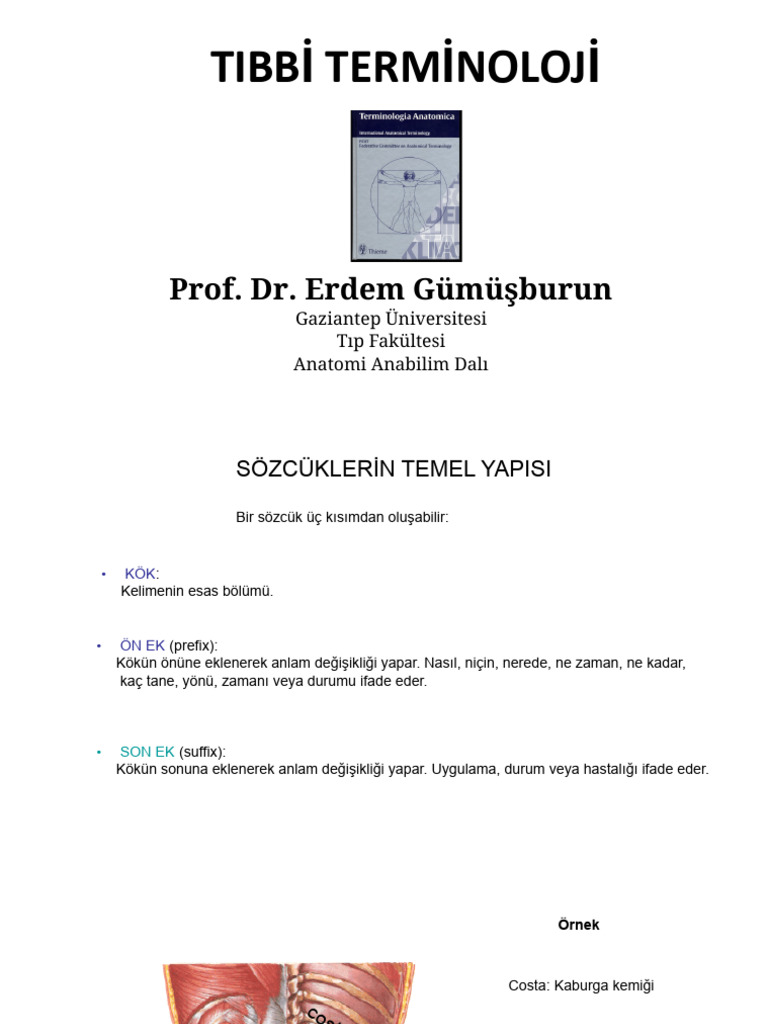 2-Isimlendirme Adlar Sıfatlar Ön Ek-1 | PDF