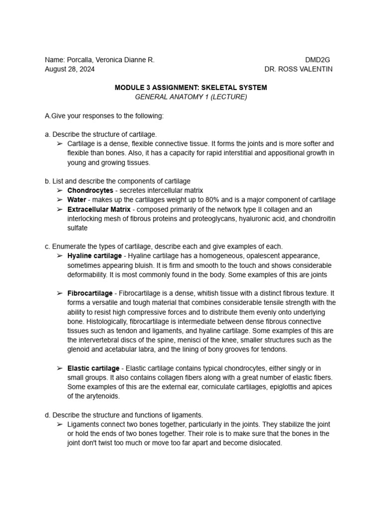 Module 3 Assignment - Skeletal System | PDF | Vertebra | Foot