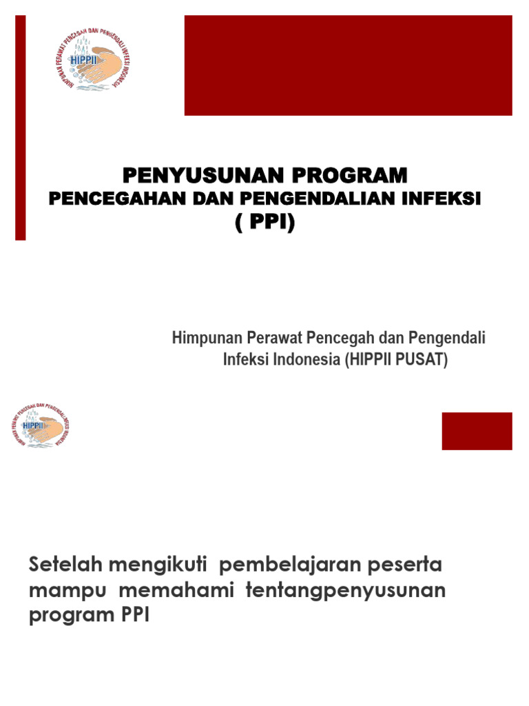 PENYUSUNAN PROGRAM PPI Yes | PDF