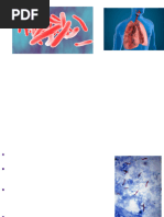 How Do You Clean A TB Room | PDF | Hospital Acquired Infection ...