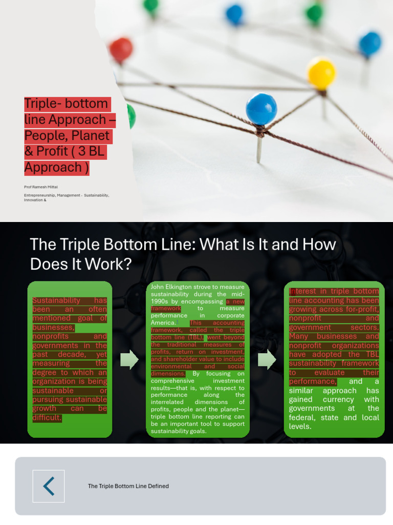 Understanding the Triple Bottom Line | PDF | Sustainability | Economies