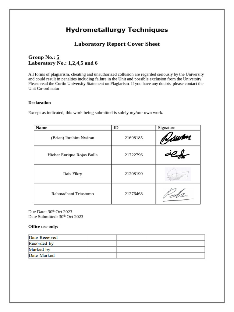 Lab Report Group 5 | PDF | Reaction Rate | Electrochemistry