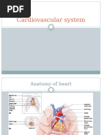 Cardiovascular Assessment Documentation Guide | PDF