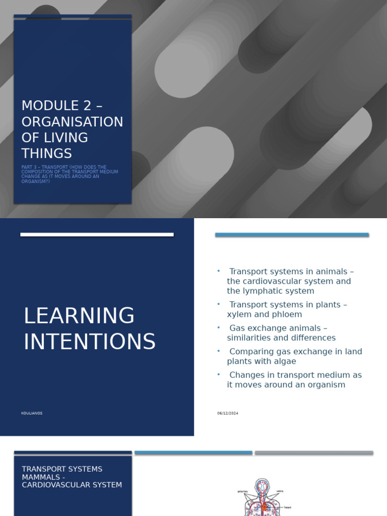 Module 2 - Part 3 | PDF | Artery | Blood