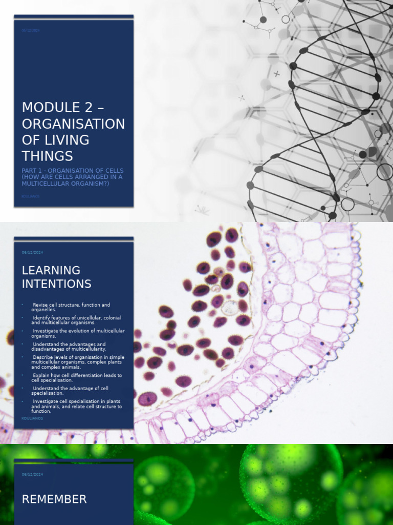 Module 2 - Part 1 (1) | PDF | Cell (Biology) | Organisms