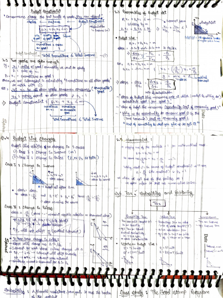 Budget Constraint Micro Sem 3 Unit 1 (Hal R Varian Chapter 2) | PDF