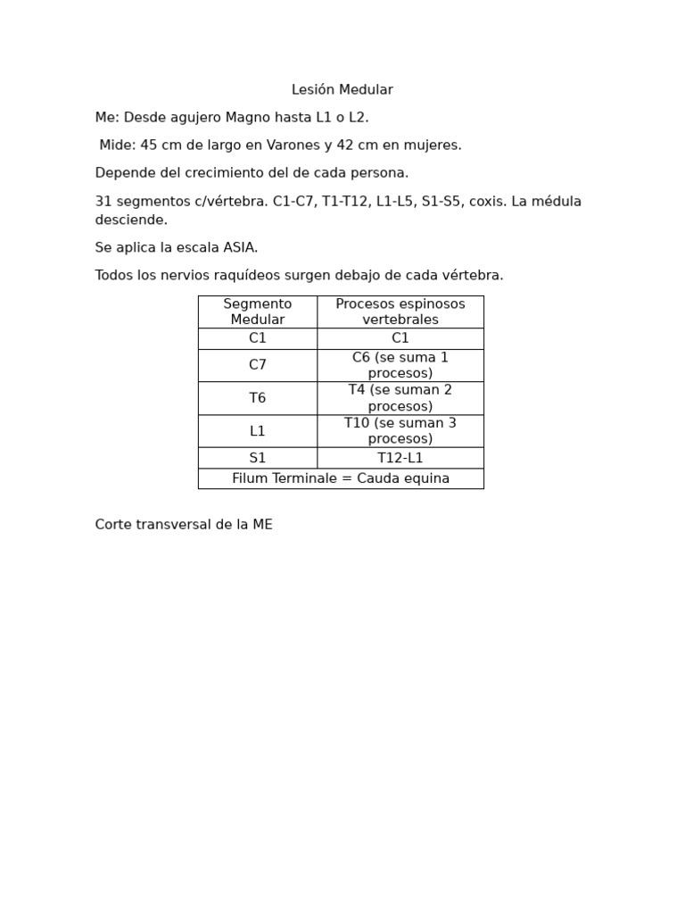 Lesión Medular y EVC | PDF | Carrera | Isquemia